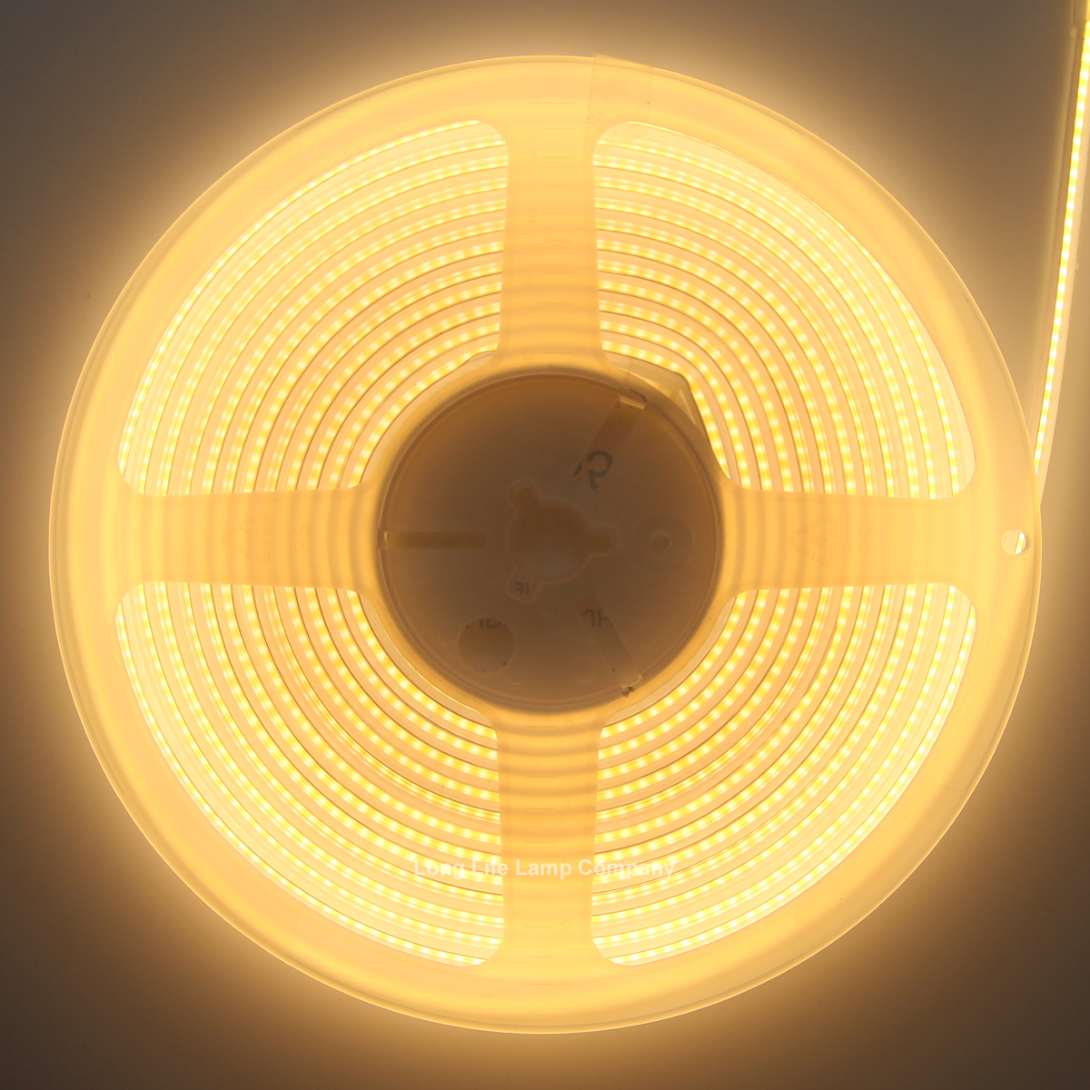 Warm White LED Tape Strip Light Continuous COB Illumination 5 Metres ...